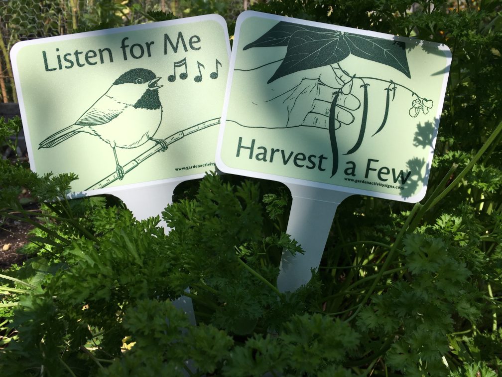 Garden Activity Sign illustrations - Emily S. Damstra