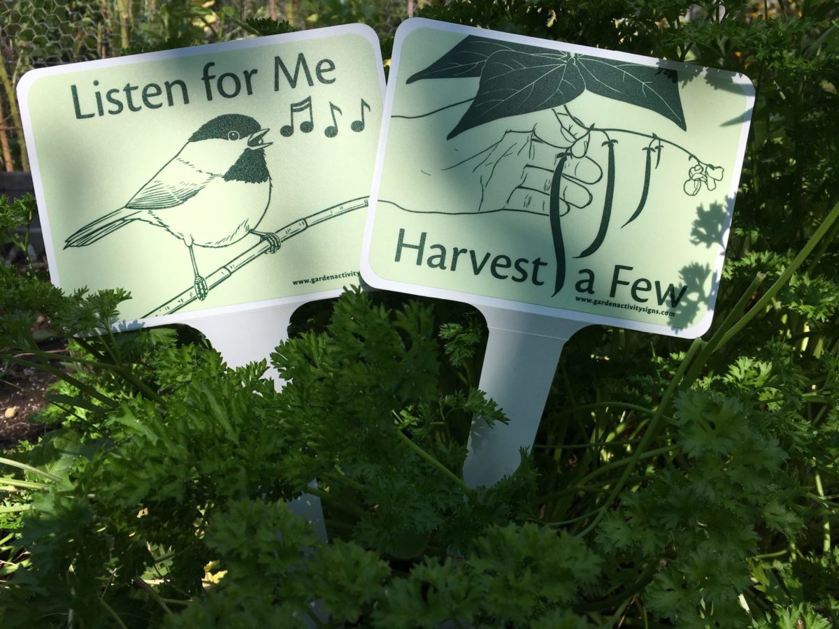 Garden Activity Sign illustrations - Emily S. Damstra
