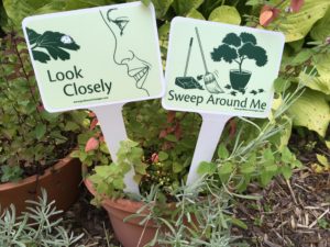Garden Activity Sign illustrations - Emily S. Damstra