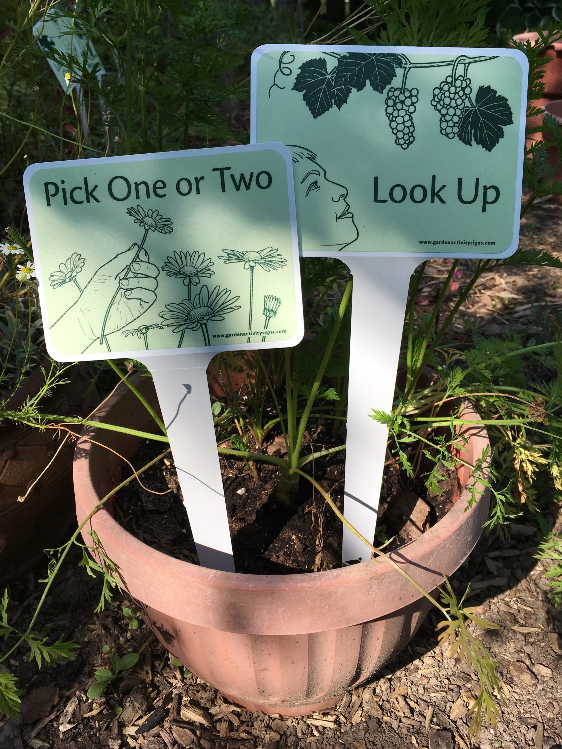 Garden Activity Sign illustrations - Emily S. Damstra