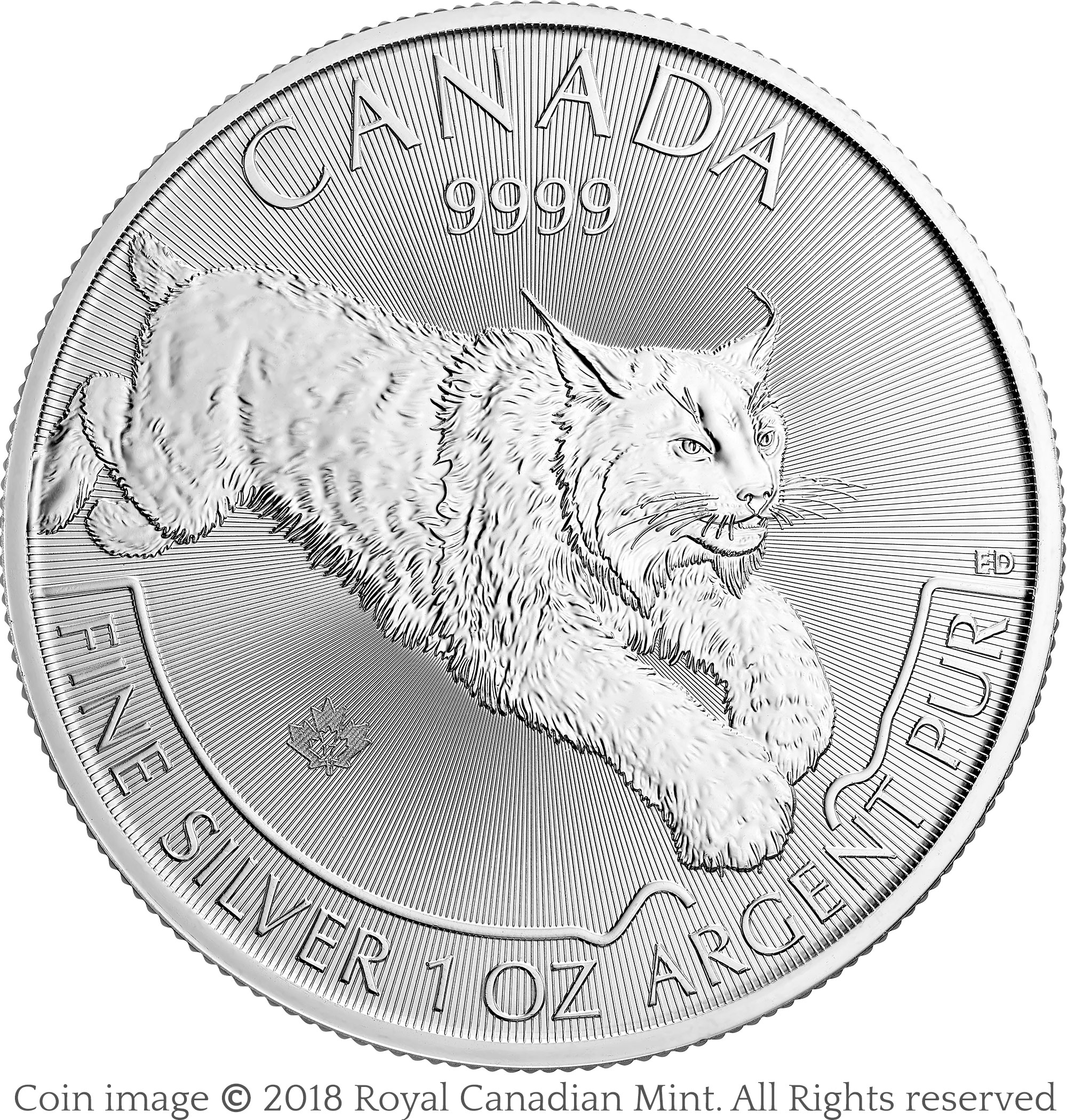 Lynx silver bullion coin - Emily S. Damstra
