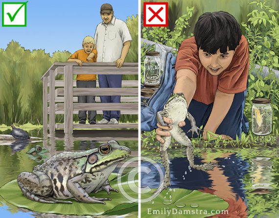 Please respect wildlife - Emily S. Damstra